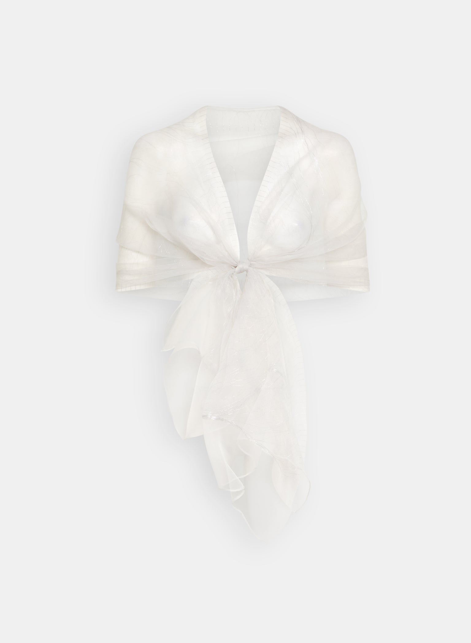 Organza Wrap Scarf
